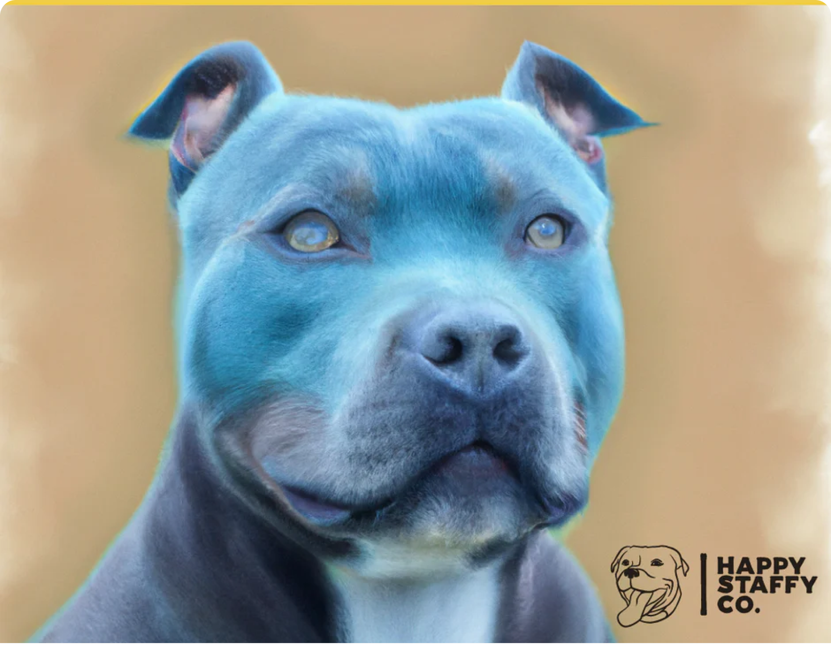 5 Skincare Solutions For Your Staffy! – Happy Staffy Co